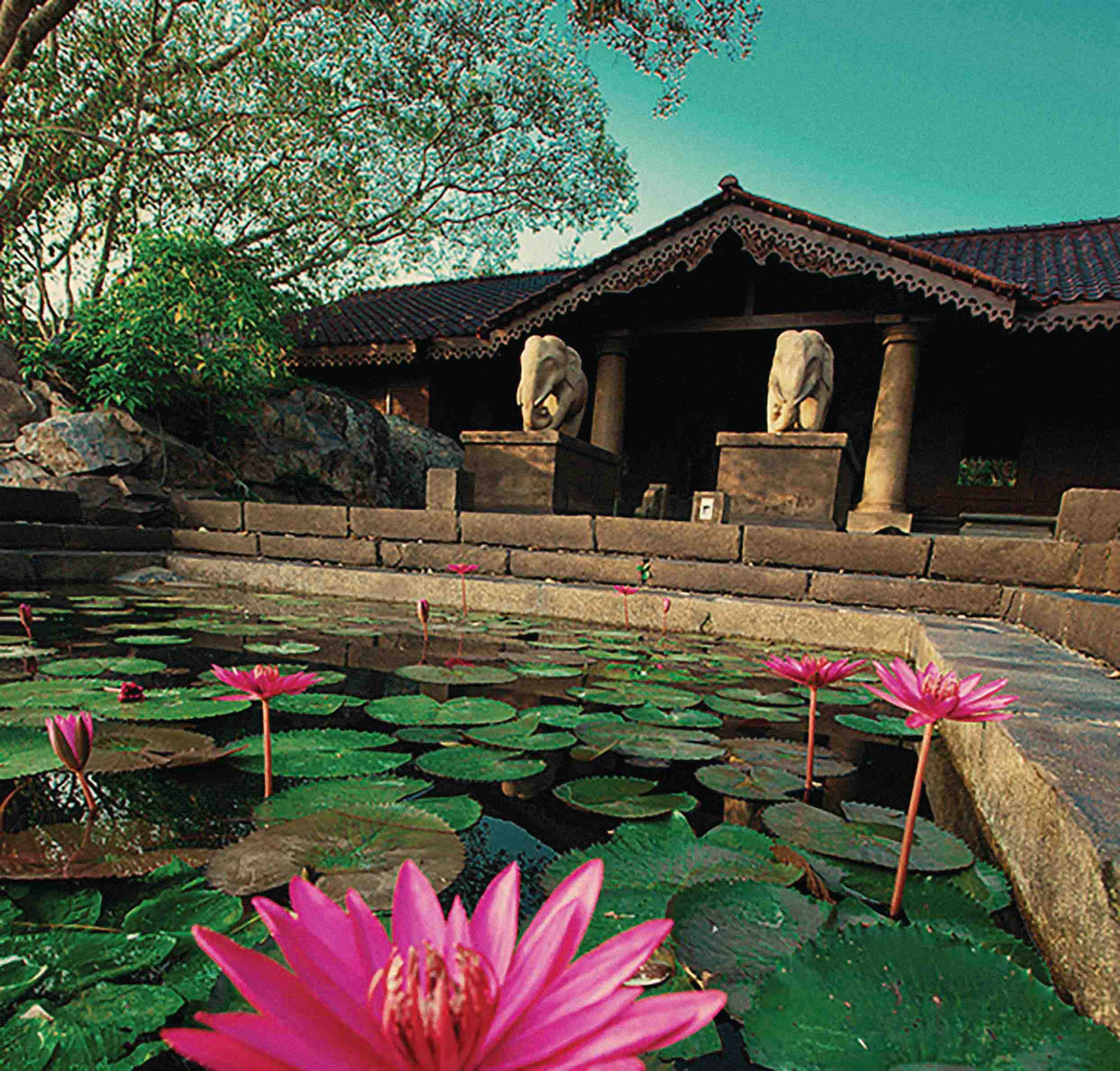 NJ CONSULTANTS | HOTEL FOREST ROCK GARDEN